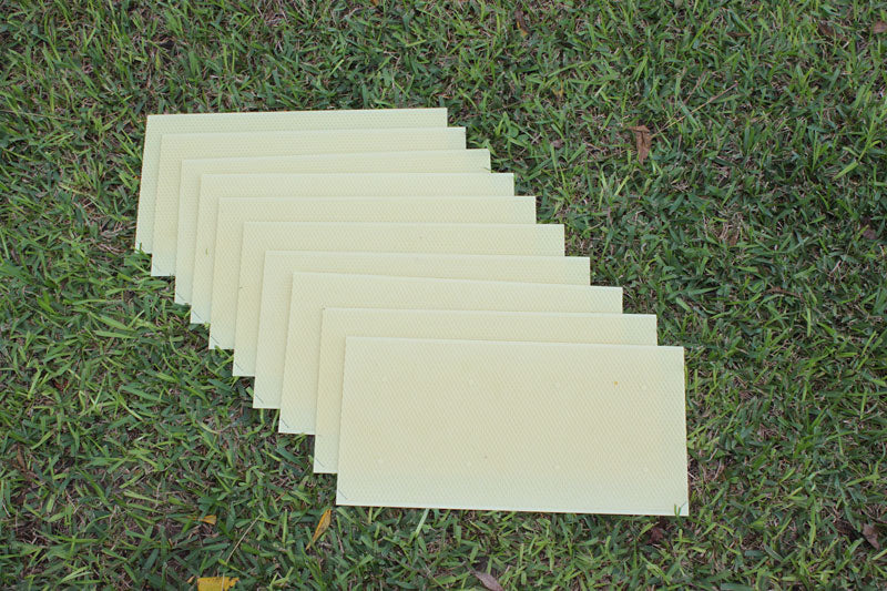8-1/2" Waxed Plasticell Foundation Sheets | R.Weaver Apiaries